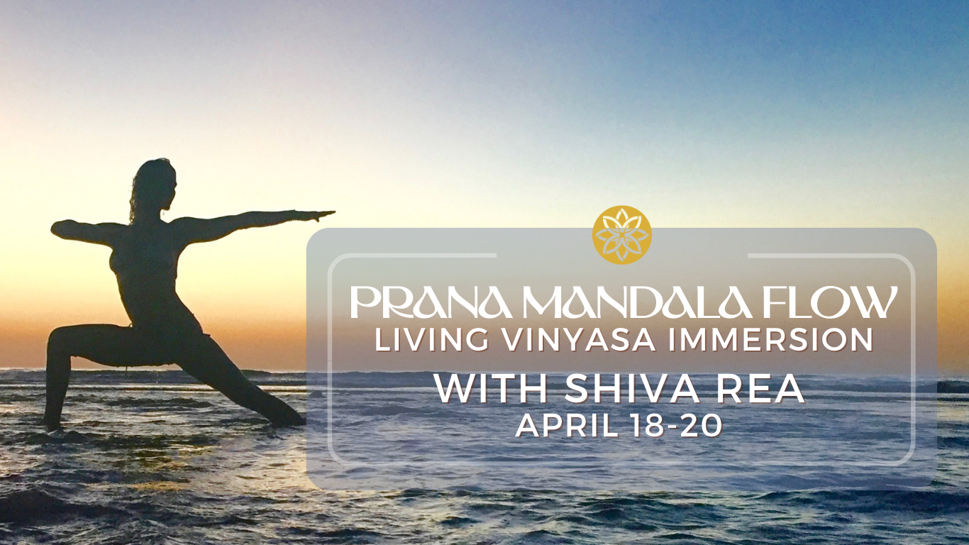 SHIVA REA - Yoga Center of Denver